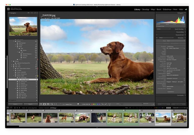 Lightroom Classic Keyboard Shortcuts: A Complete Guide