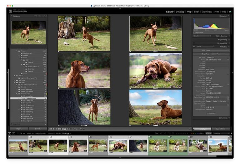 Lightroom Classic Keyboard Shortcuts: A Complete Guide