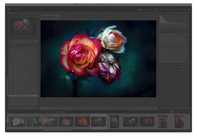 Lightroom Classic Keyboard Shortcuts: A Complete Guide